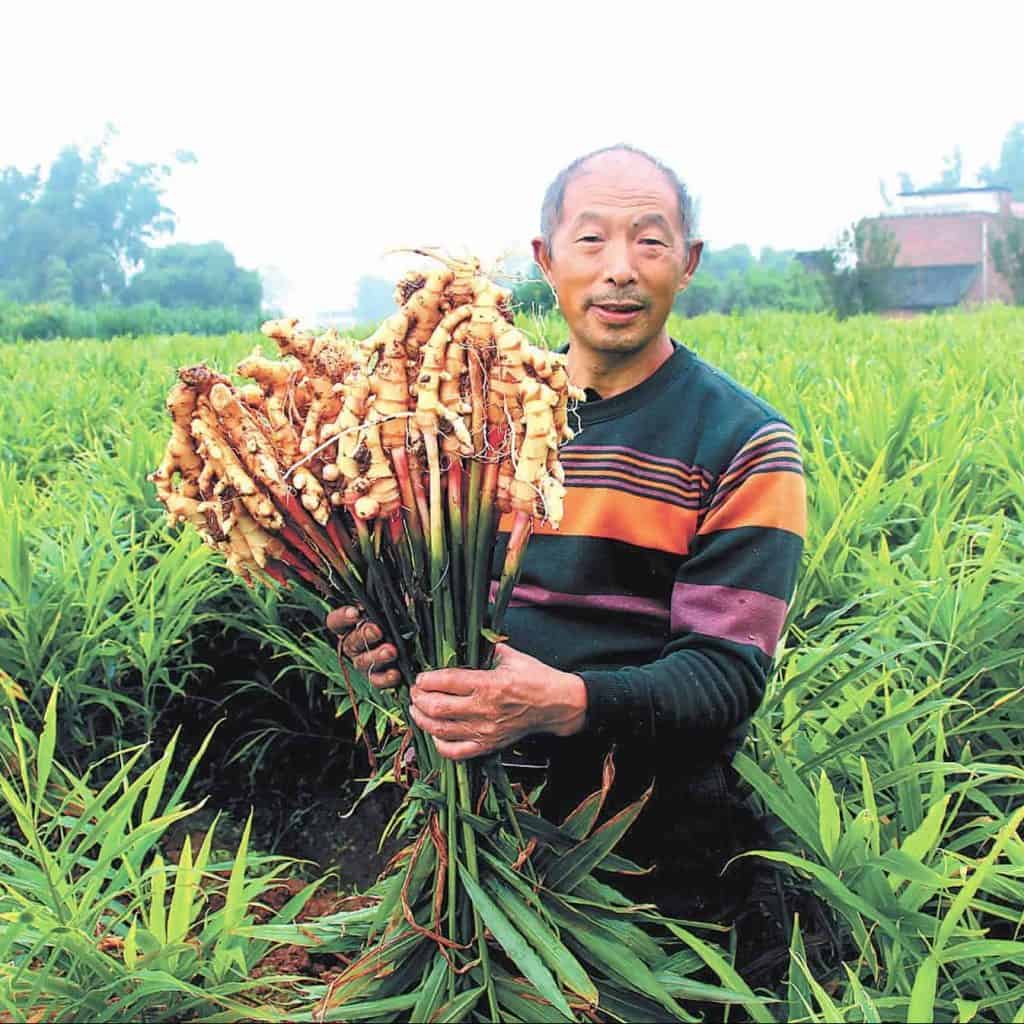 Shared Future - Freeworld Trading