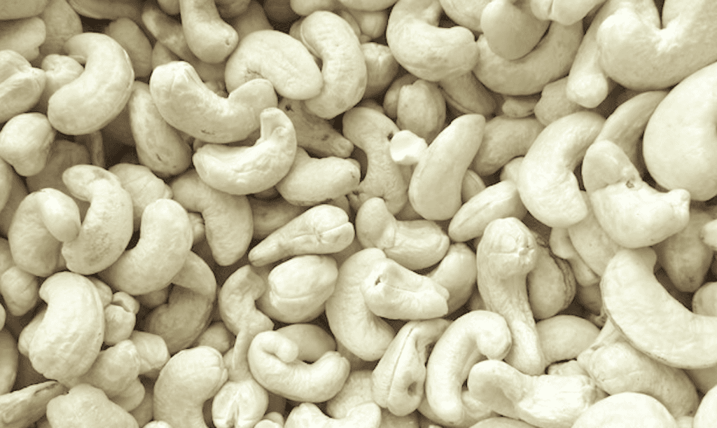 Cashew Positive Release System in Vietnam - Freeworld Trading